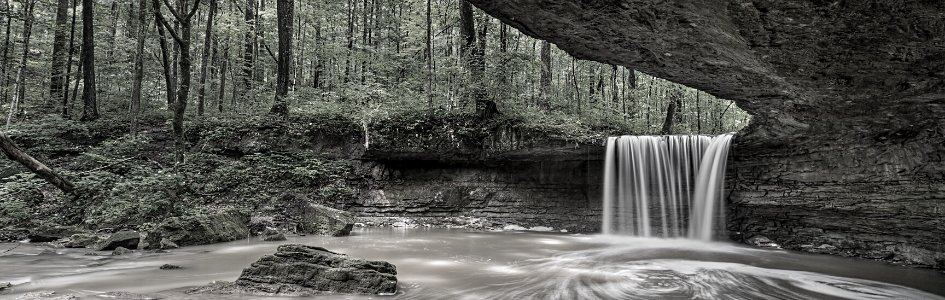 State of Indiana - Welcome to Indiana SECC's New Giving Portal