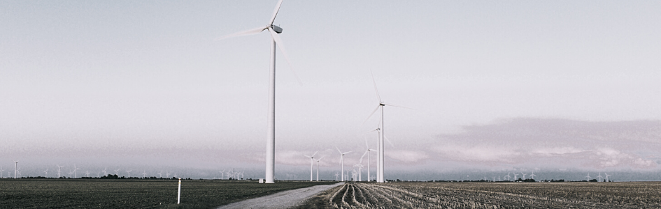 State of Indiana - Welcome to Indiana SECC's New Giving Portal